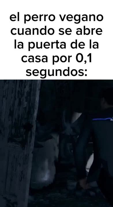 El Perro Vegano Meme By Elmatula22 Memedroid