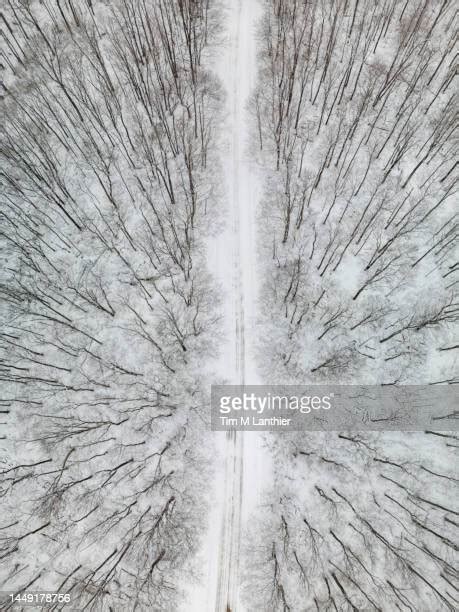 Vertical Division Photos And Premium High Res Pictures Getty Images