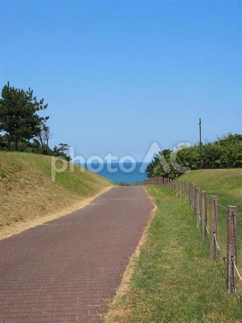 夏の鹿島灘海浜公園・散歩道＆海（鉾田市） No 30056977｜写真素材なら「写真ac」無料（フリー）ダウンロードok