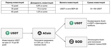 Solaroad подробный обзор и возможности токенов Acoin и Sod