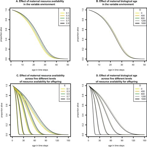 Disposable Soma Theory And The Evolution Of Maternal Effects On Ageing Pmc