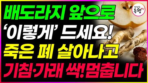 헛 돈 쓰지말고 도라지 이렇게 먹으면 지방간 녹여주고 무릎 허리통증 싹 사라집니다 배 이것과 같이 넣어 먹으면 만성염증 기침
