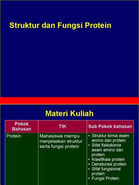 Struktur Dan Fungsi Protein Pdf