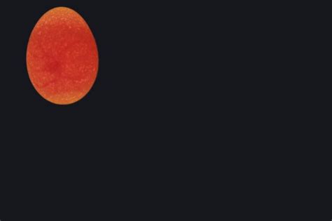 Egg Condition Object Detection Dataset And Pre Trained Model By Electronic Engineering