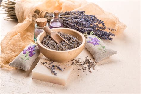 Alternative Medicine Careers What To Expect Everglades University