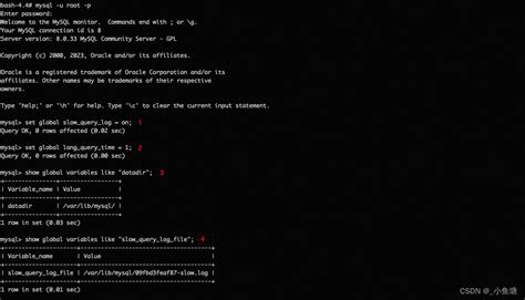 掉入火锅小猫已离世：病情突然恶化 烫伤破皮伴有骨折动态新闻资讯 编程客栈