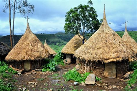 Меморандум о низкоуглеродном развитии подписан Россией и Эфиопией