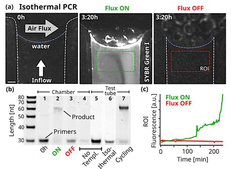 Prebiotic Gas Flow Environment Enables Isothermal Nucleic Acid