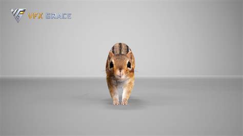 Chipmunk Animated Unreal Engine Character Asset Vfx Grace