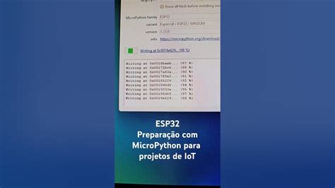 Gravando Firmware Do Micropython No Esp32 Sim É Possível Usar