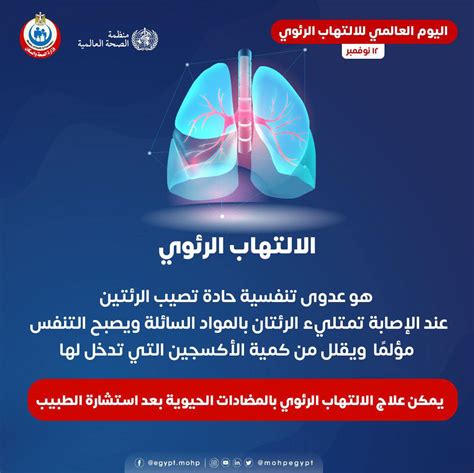 فى يومه العالمى ما هو الالتهاب الرئوى وكيفية علاجه؟ إنفوجراف مبتدا