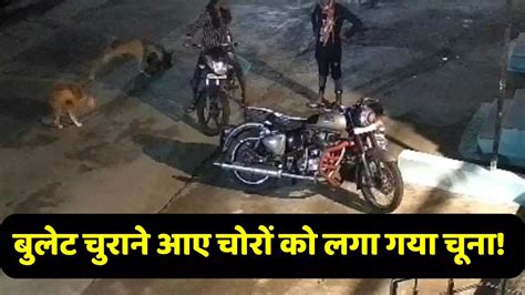 नेता जी की बुलेट में नहीं था तेल चोरी का प्रयास हुआ फेल थक हारकर बाइक