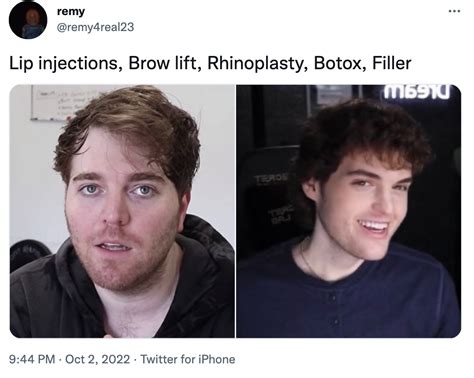 Dream Looks Like Shane Dawson Meme Dream Face Reveal Know Your Meme