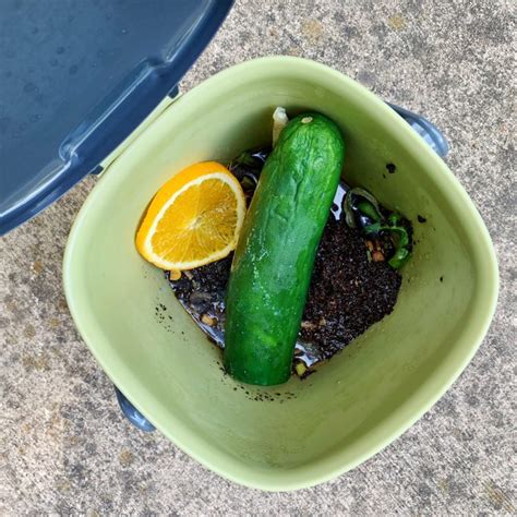 A How To On Urban Composting SUSANNA GRACE CREATES