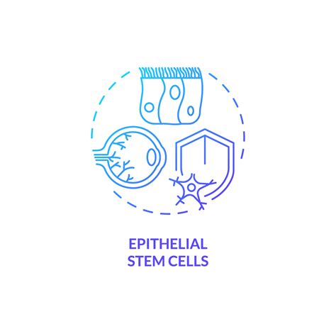 2d Gradient Epithelial Stem Cells Icon Simple Isolated Vector Thin
