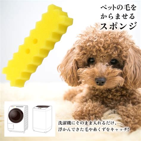 【楽天市場】【着後レビューでプレゼント】集毛洗濯用 ペットの毛 洗濯機 スポンジ おすすめ 掃除 キャッチ 強い 便利 髪の毛 ペット 猫毛