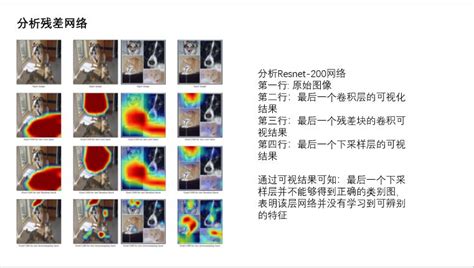 解读文章visual Explanations From Deep Networks Via Gradient Based