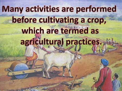 PPT CROP PRODUCTION AND MANAGEMENT PowerPoint Presentation Free Download ID