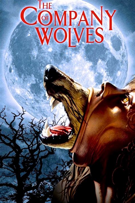 The Company Of Wolves 1984 Posters — The Movie Database Tmdb