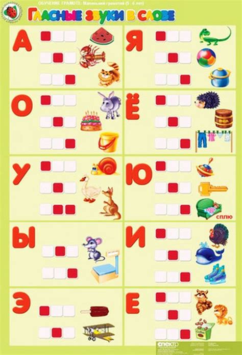 Обучающие карточки для детей с 3 до 6 лет