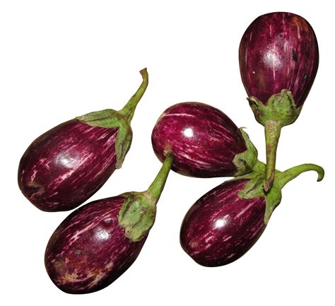 Brinjal Png