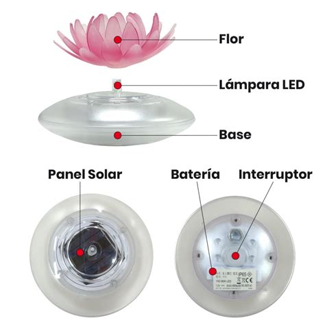 Lumière De Piscine Flottante Led Rgb Avec Charge Solaire Fleur De