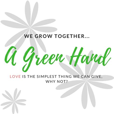 How Does Soil Affect Plant Growth A Green Hand
