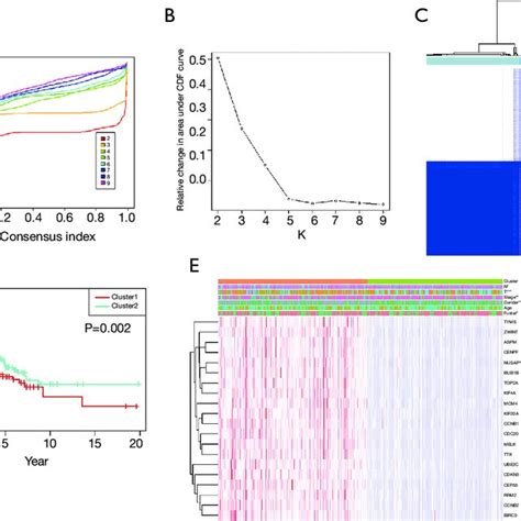 Consensus Clustering Of 20 Essential Genes And Relationships With Download Scientific Diagram