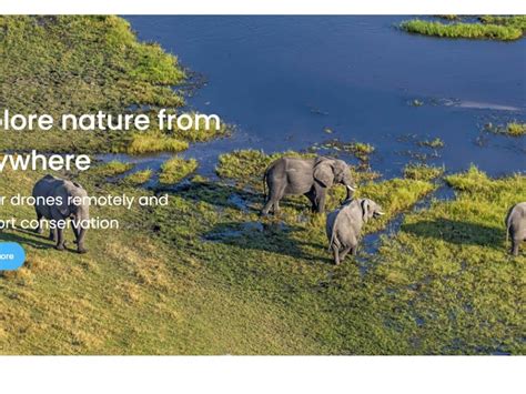 Professional Custom Web Application Upwork