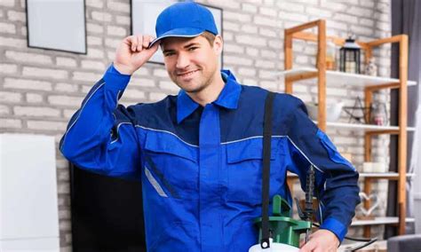 The Best Commercial And Residential Pest Control Services In Auckland