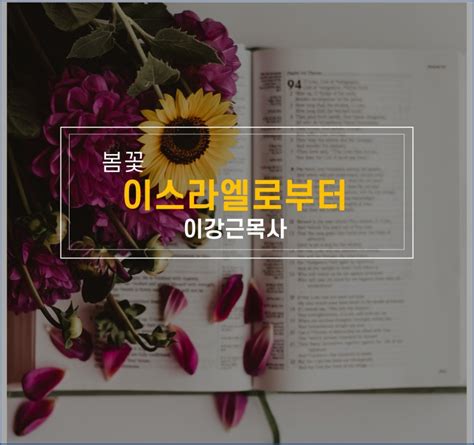이강근 박사의 이스라엘 성지이야기 베드로수위권교회 네이버 블로그