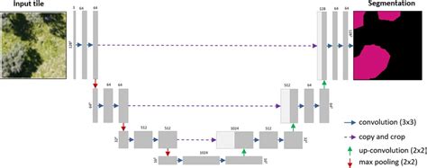 Scheme Showing The Cnn Based Segmentation Implemented Using The U Net Download Scientific