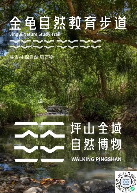 金龟五一游玩指南一场自然生态艺术小镇之旅 深圳新闻网