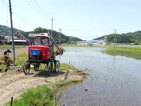 【農場だより】農場は田植えに向けて準備中！ 田中農場日誌｜鳥取県八頭町でおいしいお米と野菜を育てる農場スタッフブログ