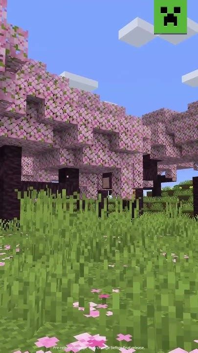 НОВЫЙ БИОМ ЦВЕТУЩАЯ САКУРА В МАЙНКРАФТ ОФИЦИАЛЬНО Youtube