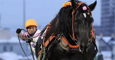 11月2日（土）帯広ばんえい競馬12r（※『やり』『やらず』新予想🤩）｜みどり