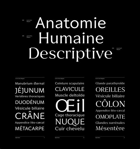 Lorne Variable Typeface Behance