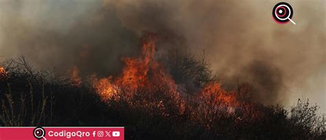 Suman 24 Muertos Por Incendios Forestales En Los Ángeles Códigoqro