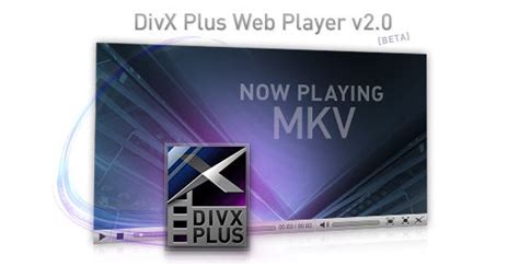 Download Divx Plus Web Player For Mac Os X V20 Freeware Afterdawn Software Downloads