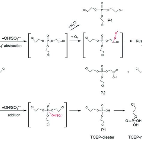 The Degradation Pathways Of Tcep Radical Oxidation 27100 Download