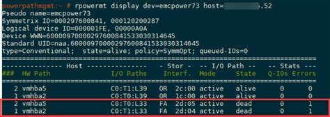 metro based ndm guide plan and environment overview dell powermax