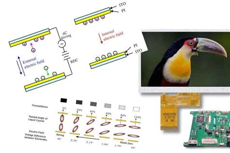 Quick Understanding Of The Working And Phenomenon Of LCD