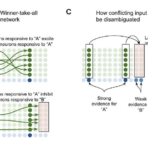 Proposed Computations Performed By A Single Pyramidal Neuron A