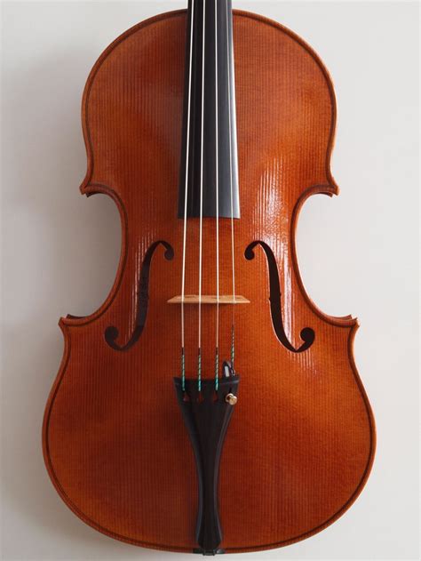 Viola 2013 eigenes Modell - Alexander Schütz