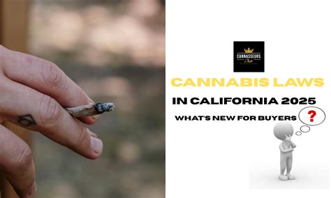 California Cannabis Laws 2025 Buyers Guide Cannasseurs Club