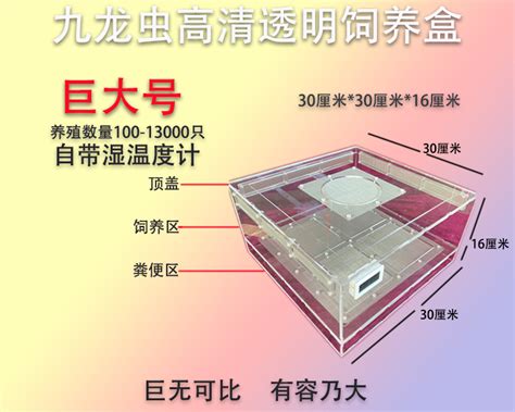 九龙虫饲养盒六年老店 洋 幼虫爬虫繁殖盒粪便分离器具 阿里巴巴