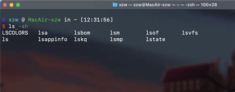 Maclinux配置oh My Zsh 安装必用插件zsh插件推荐 Csdn博客