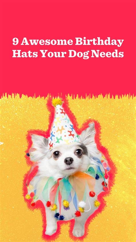 A White Dog Wearing A Birthday Hat And Streamers On Its Neck With The