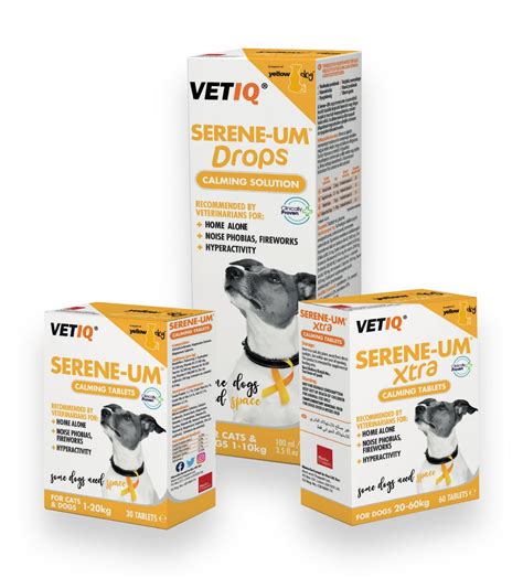 Tips To Help Reduce Dog Anxiety In Cars Vetiq Healthy