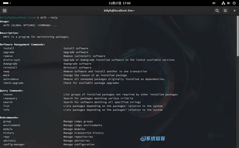 DNF5 重磅登场Fedora 用户必知的软件管理革新 系统极客